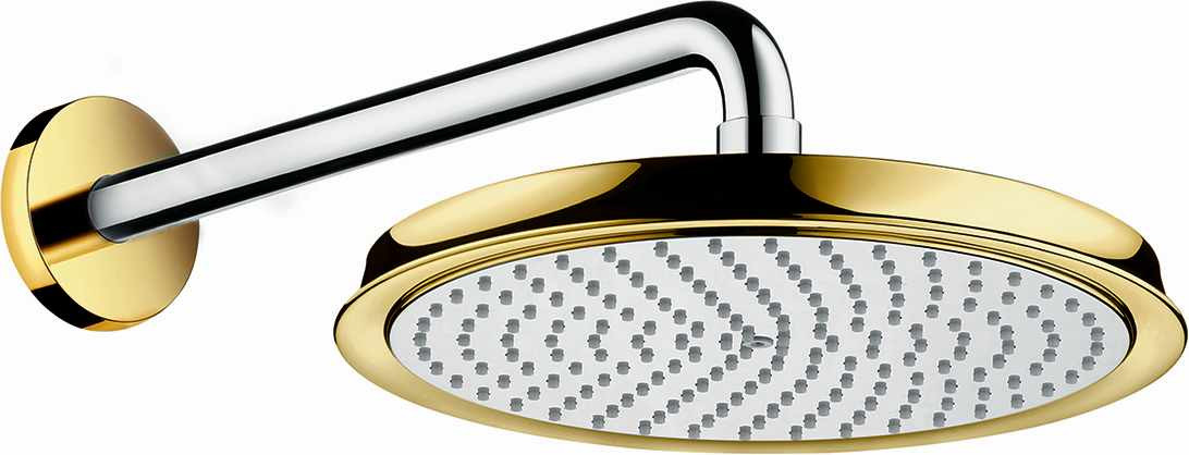 Hansgrohe Tellerkopfbrause Raindance Classic 27424090 | wärme24.de